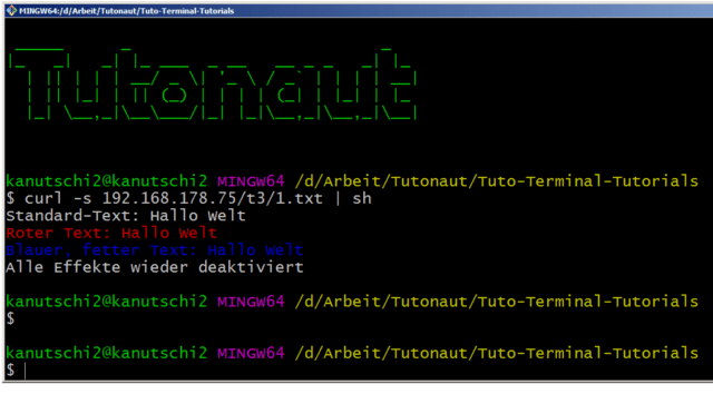 Anleitung: Terminal-Ausgabe mit Farben und ASCII-Art aufhübschen ...