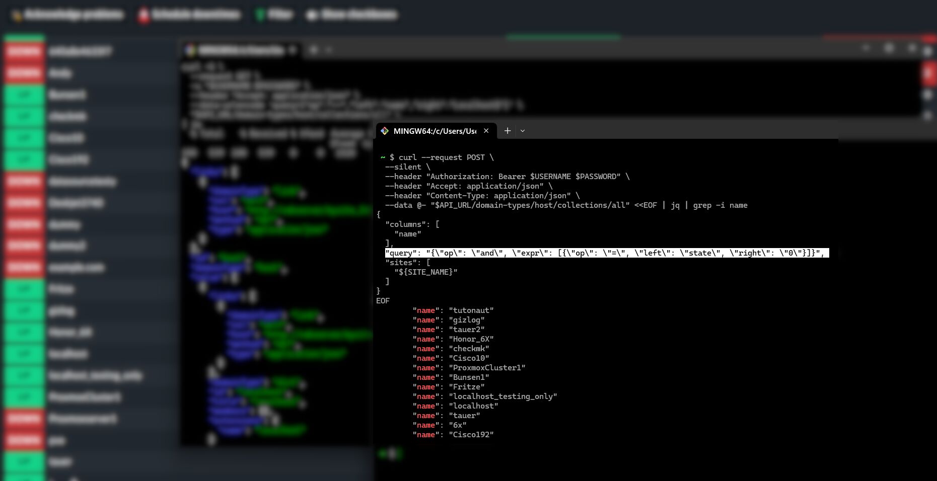 Checkmk: Livestatus-Filter in REST-API-Abfragen nutzen | Tutonaut